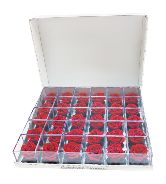 Preserved Roses in Acrylic Cubes - Verdissimo USA | Verdissimo USA