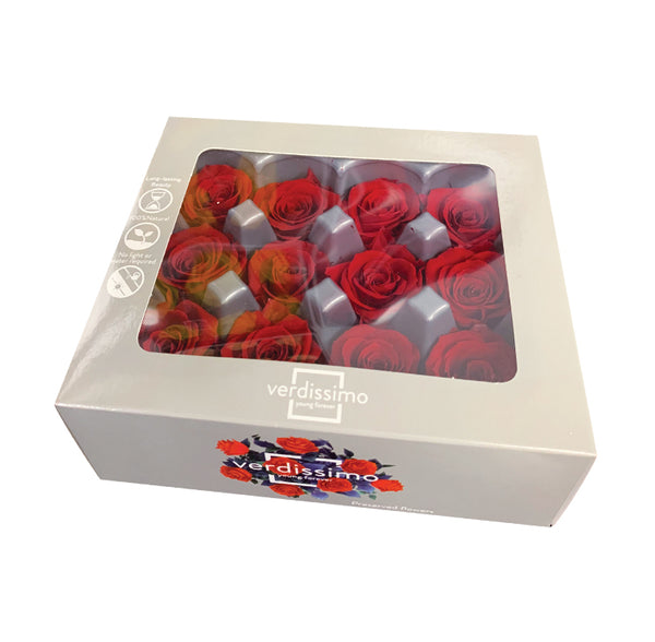 Shop Preserved Roses - Preserved Standard Size Roses - Verdissimo USA ...