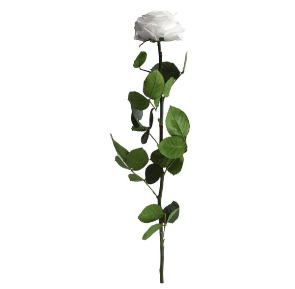 Shop Preserved Roses with Stems - Premium Size Roses - Verdissimo USA ...