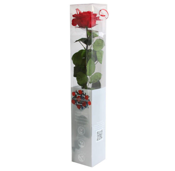 Shop Preserved Roses with Stems - Premium Size Roses - Verdissimo USA ...