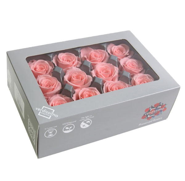 Shop Preserved Roses - Preserved Mini Size Roses - Verdissimo USA ...