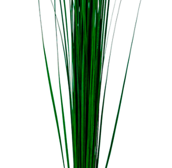 Shop Preserved Steel Grass - Verdissimo USA | Verdissimo USA