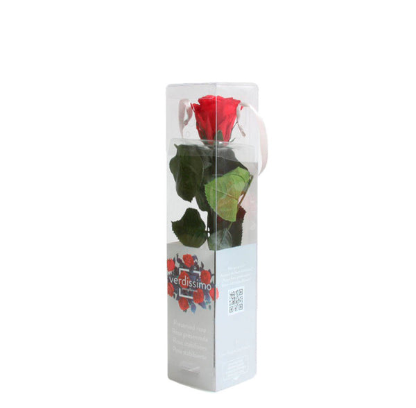 Shop Preserved Roses with Stems - Mini Size Roses - Verdissimo USA ...